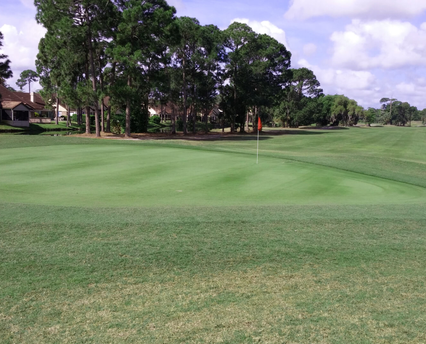 Pelican Bay Golf Club | Daytona Beach Golf | Florida Golf